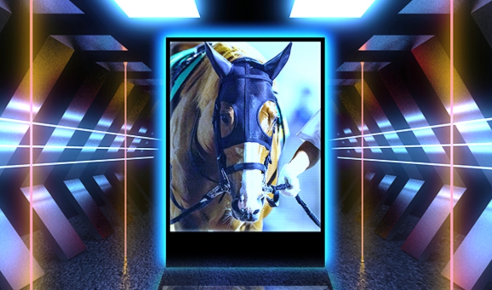 Rakuten NFT サラブレッドとは？特徴や買い方を解説 | Market α（マーケットアルファ）